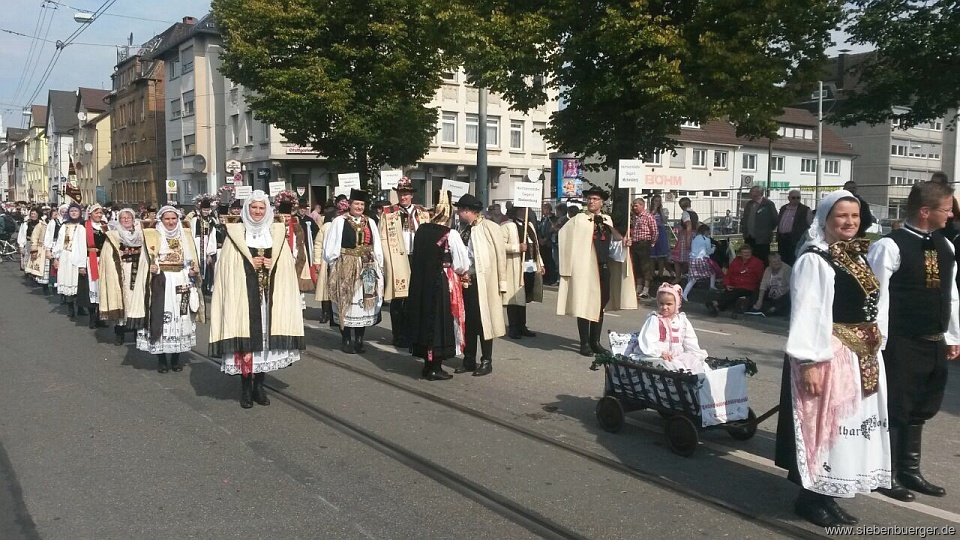 Siebenbürger Sachsen beim Festumzug zum Cannstatter Wasen - Bild Nr. 63 ...