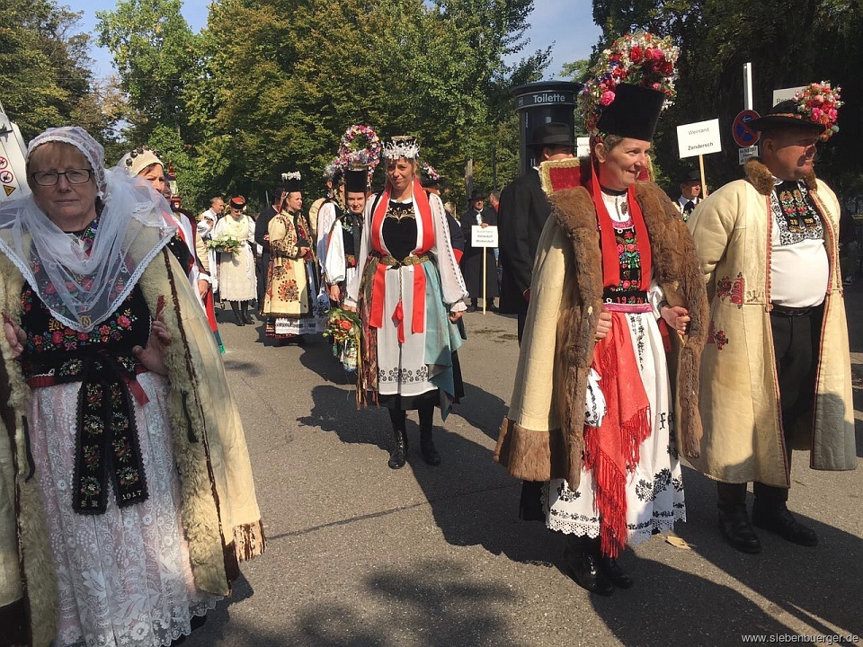 Siebenbürger Sachsen beim Festumzug zum Cannstatter Wasen - Bild Nr. 24 ...