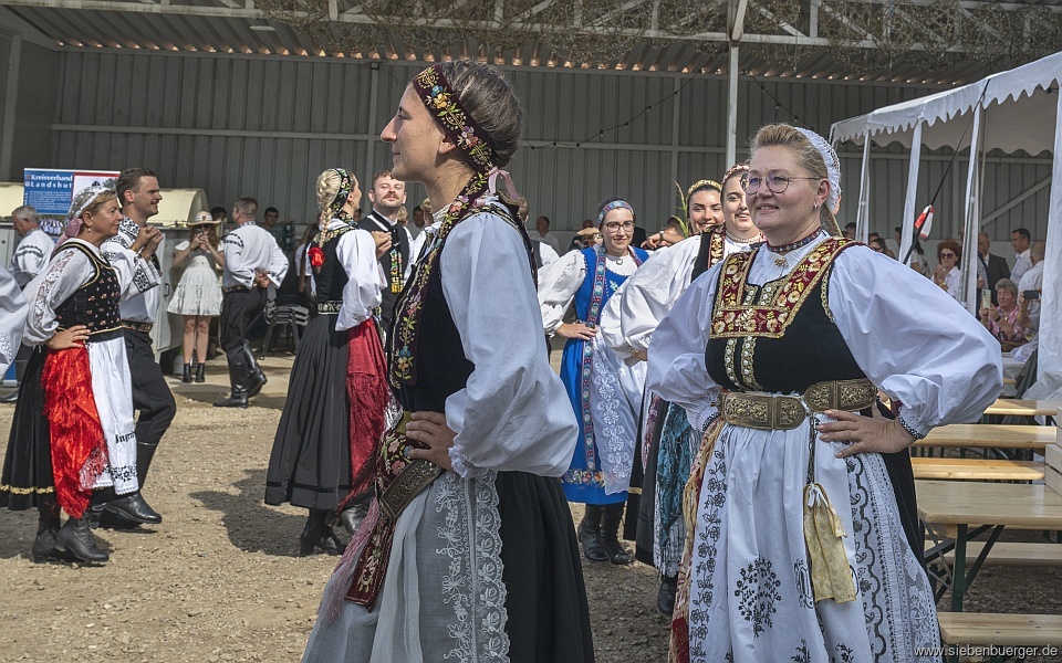 Weinfestival in Bogeschdorf (Laura Micu) - Bild Nr. 7 - Siebenbuerger.de