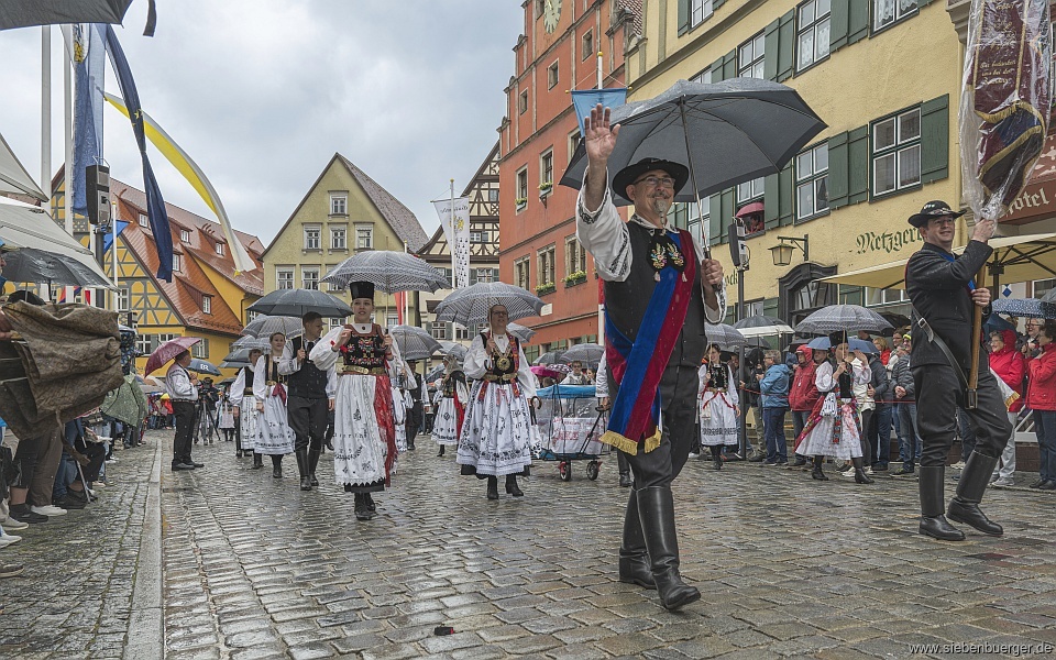 Festumzug des Heimattages 2025 (Laura Micu, Teil 2) - Bild Nr. 2 ...