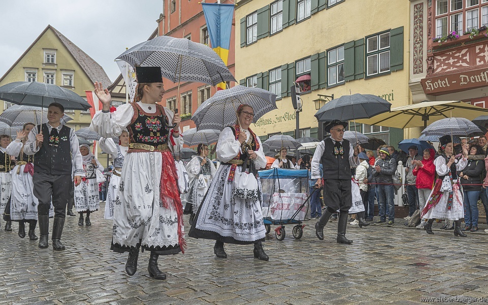 Festumzug des Heimattages 2025 (Laura Micu, Teil 2) - Bild Nr. 4 ...