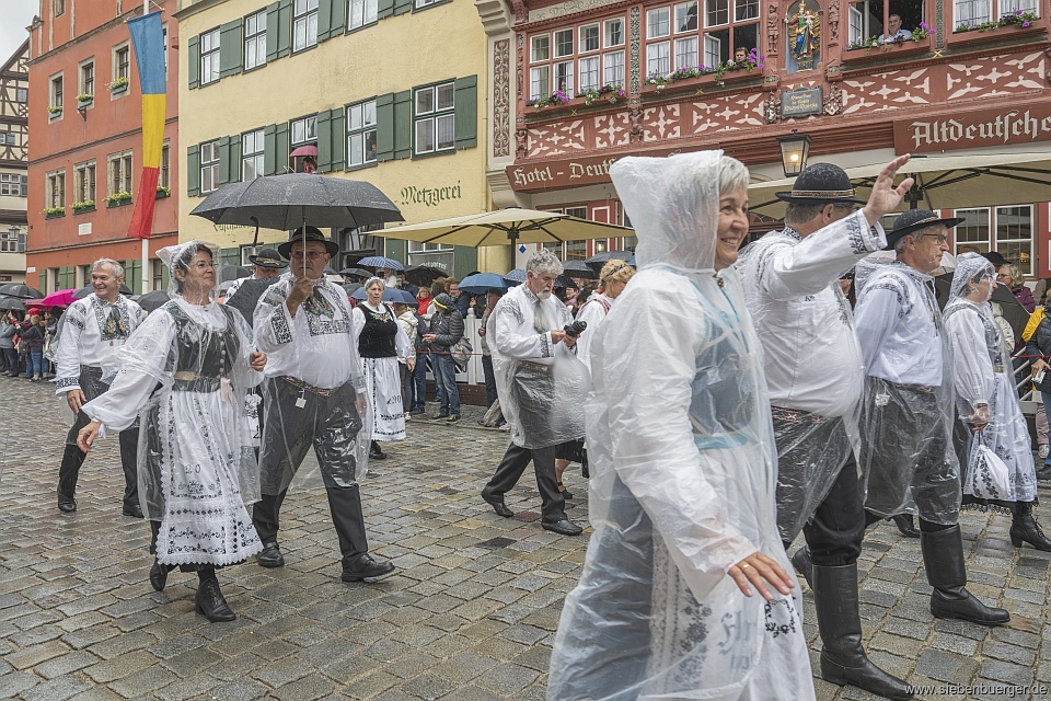 Festumzug des Heimattages 2025 (Laura Micu, Teil 2) - Bild Nr. 29 ...