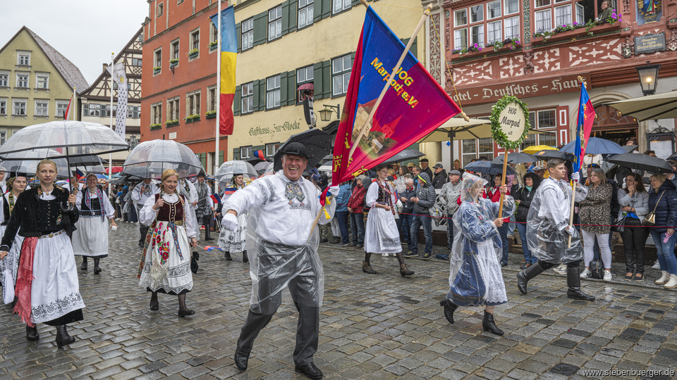 Festumzug des Heimattages 2025 (Laura Micu, Teil 4) - Bild Nr. 2 ...