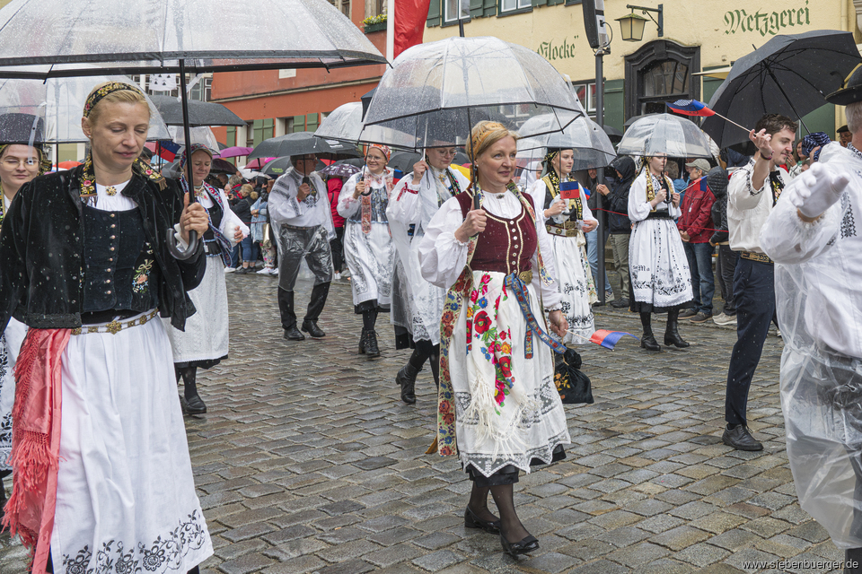Festumzug des Heimattages 2025 (Laura Micu, Teil 4) - Bild Nr. 3 ...
