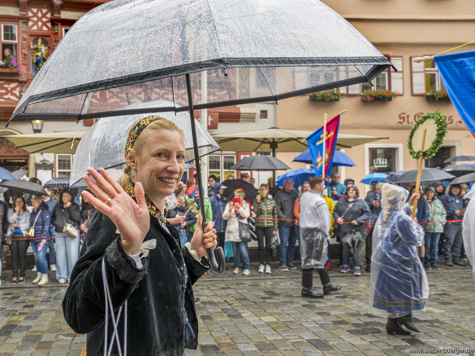 Festumzug des Heimattages 2025 (Laura Micu, Teil 4) - Bild Nr. 6 ...