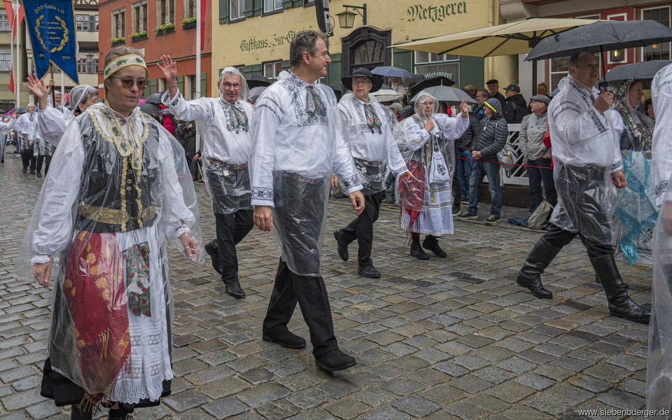 Festumzug des Heimattages 2025 (Laura Micu, Teil 4) - Bild Nr. 28 ...