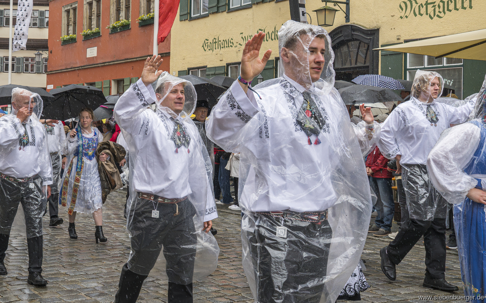 Festumzug des Heimattages 2025 (Laura Micu, Teil 4) - Bild Nr. 32 ...