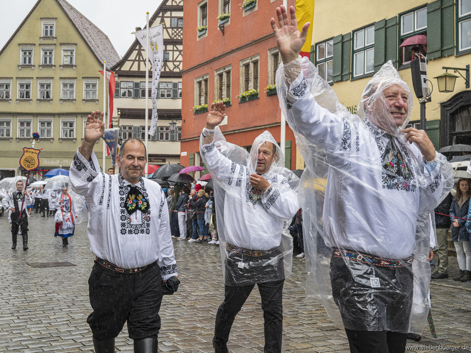Festumzug des Heimattages 2025 (Laura Micu, Teil 4) - Bild Nr. 35 ...