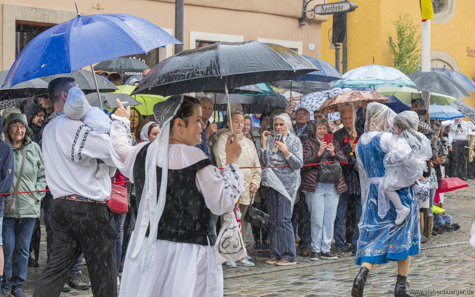 Festumzug des Heimattages 2025 (Laura Micu, Teil 4) - Bild Nr. 49 ...
