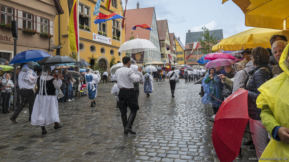Festumzug des Heimattages 2025 (Laura Micu, Teil 4) - Bild Nr. 50 ...