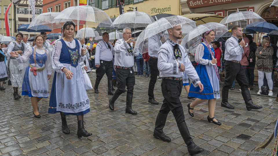 Festumzug des Heimattages 2025 (Laura Micu, Teil 4) - Bild Nr. 63 ...