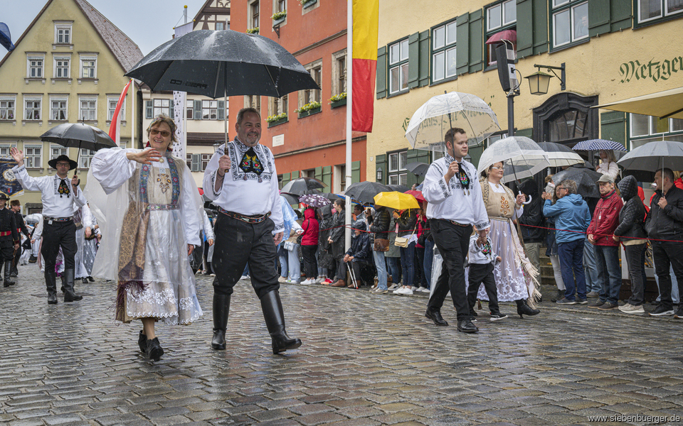 Festumzug des Heimattages 2025 (Laura Micu, Teil 4) - Bild Nr. 93 ...