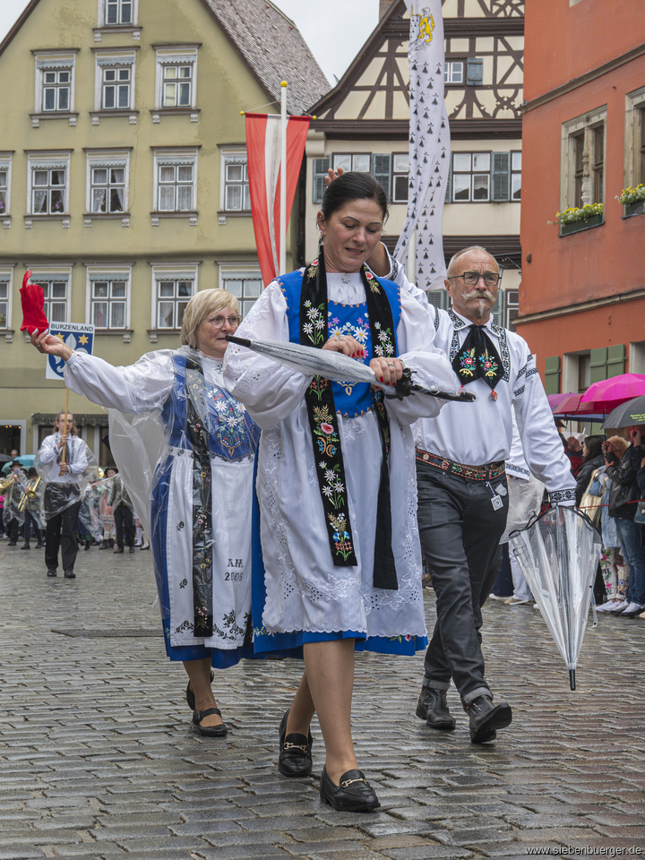 Festumzug des Heimattages 2025 (Laura Micu, Teil 4) - Bild Nr. 125 ...