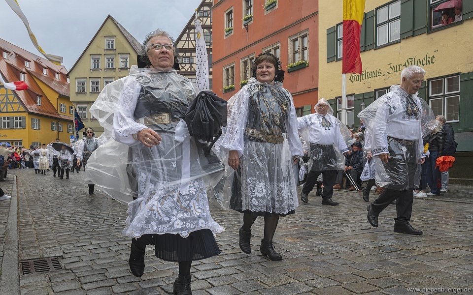 Festumzug des Heimattages 2025 (Laura Micu, Teil 5) - Bild Nr. 20 ...