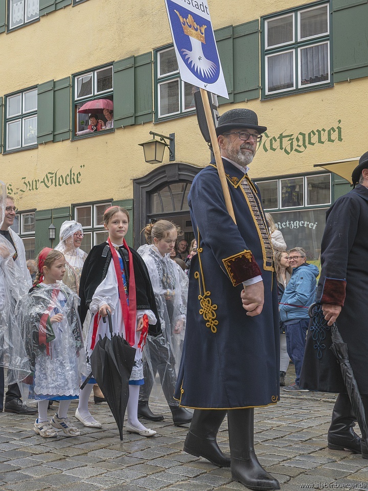 Festumzug des Heimattages 2025 (Laura Micu, Teil 5) - Bild Nr. 45 ...